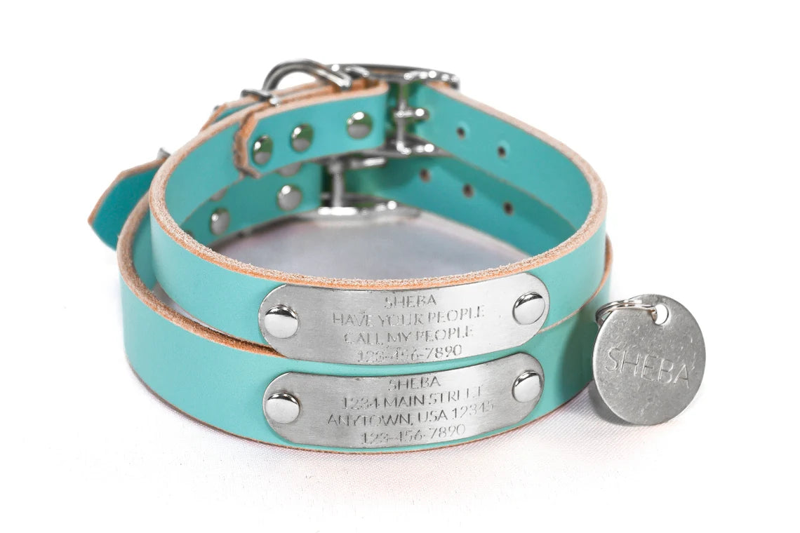 Leather Dog Collar - Nickel / Silver Tone Nameplate + Hanging Tag + Ha ...