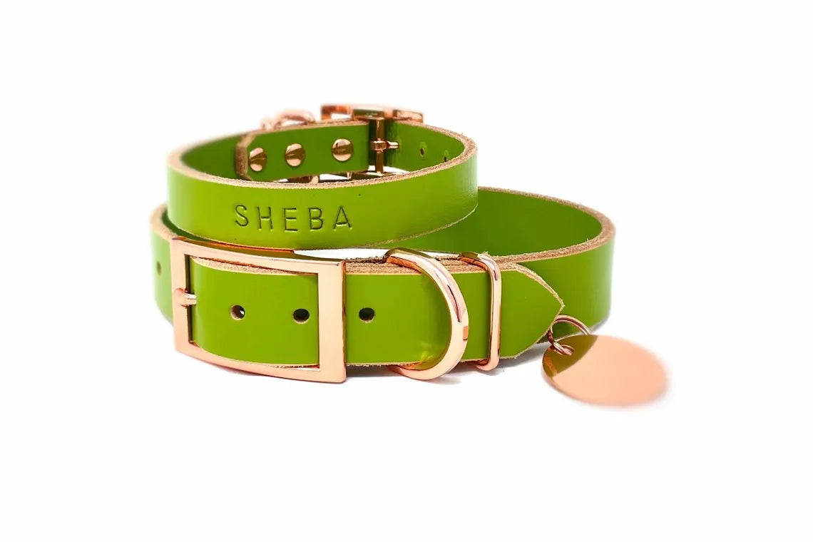 Leather Dog Collar - Copper / Rose Gold Tone Hanging Tag + Hardware ...